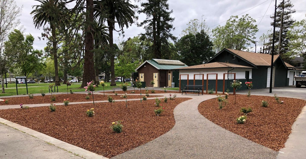 4 Ways To Use Bender Board To Upgrade Your Landscape – Howell Pathways