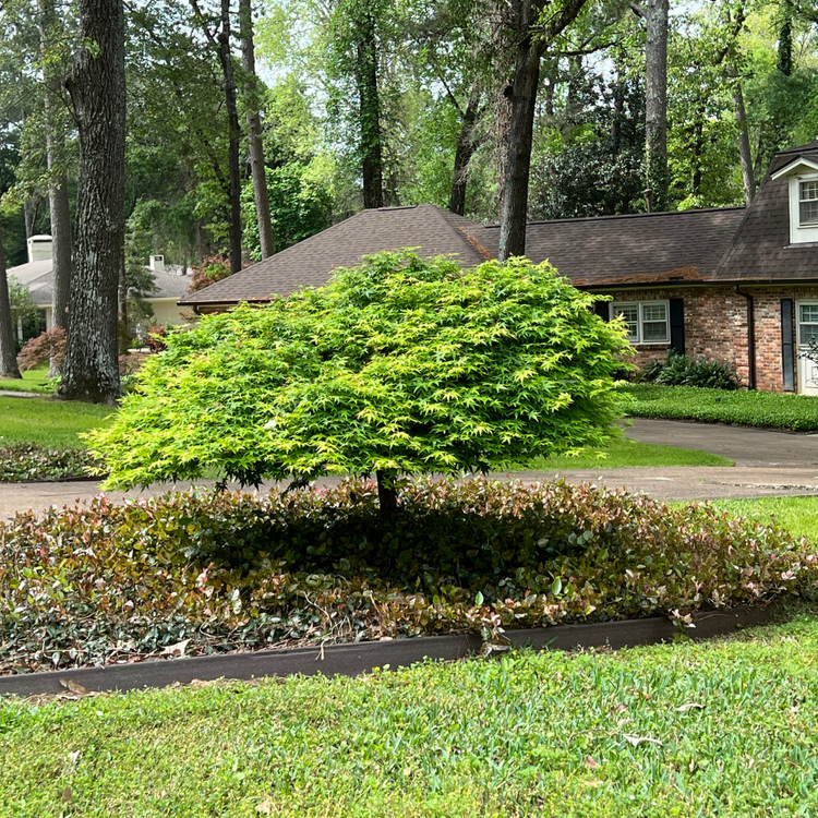 Eco-Friendly Garden Edging From Bender Board – Shop Now – Howell Pathways