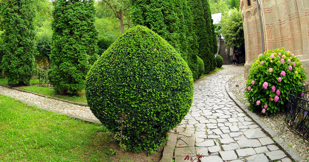 Commercial Applications That Can Benefit From Our Pathway Stabilizer P ...