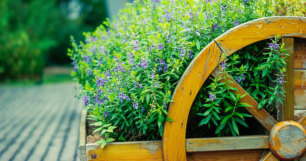 The Top Tips To Enhance Your Garden Walkways With Howell Pathways